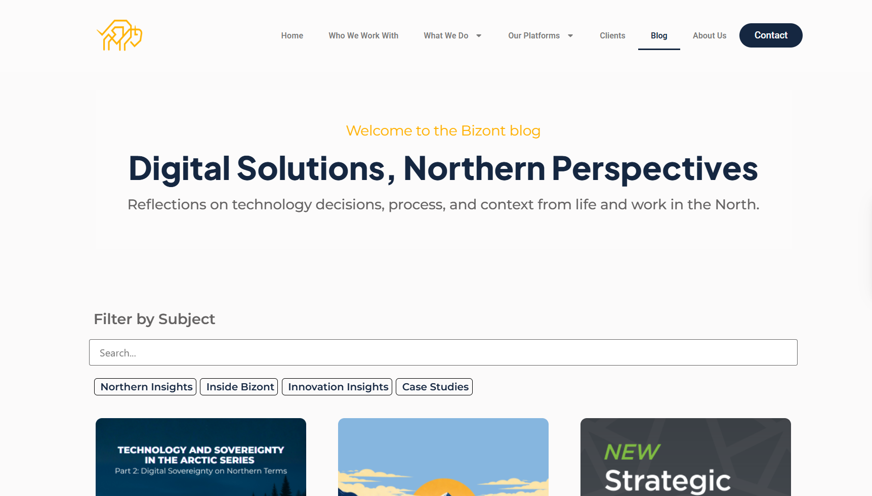 Insights on Web Development, BI, and Data Science in Yukon - Bizont Blog