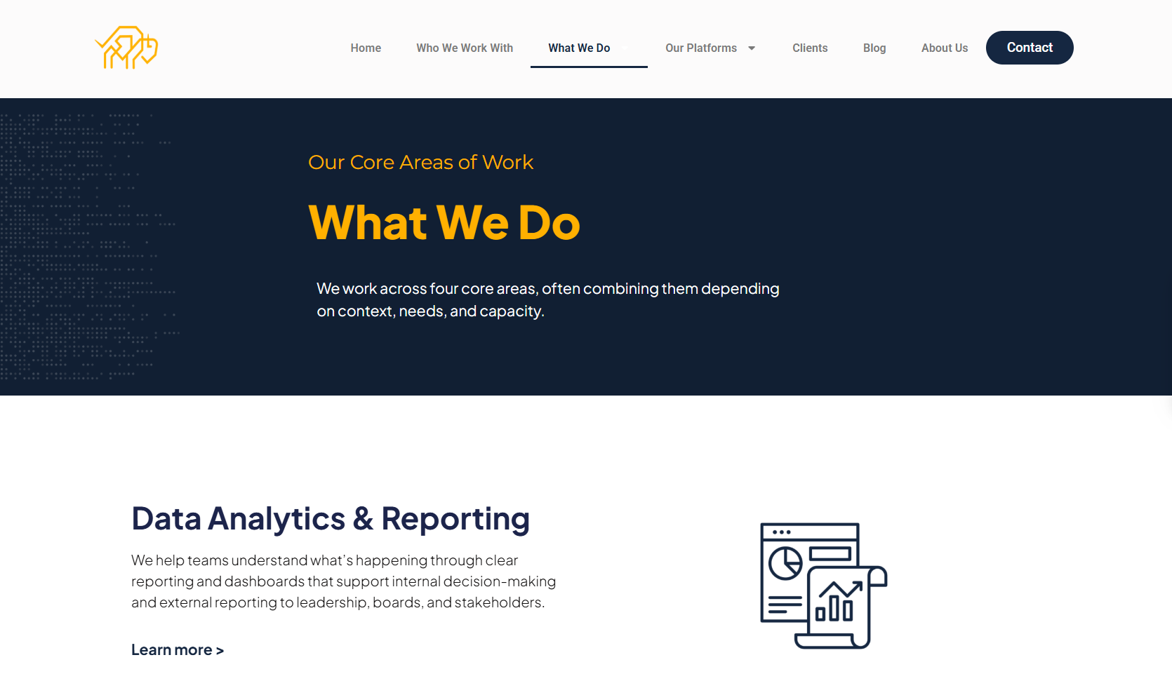 What We Do - Bizont
